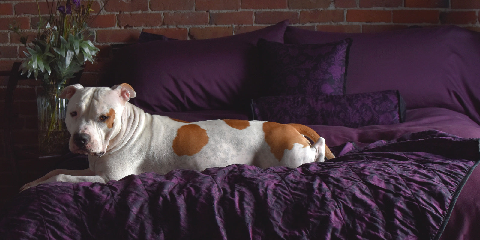 Dark Luxe Home Decor & Bedding - Sheets & Duvets by Sin in Linen